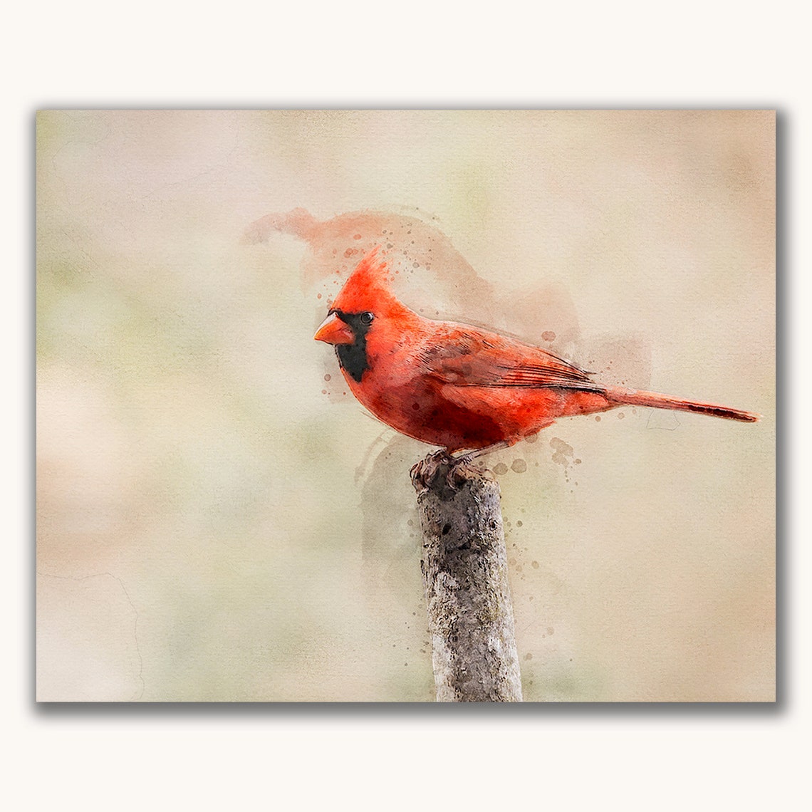 Cardinal Digital Printable Wall Art. Beautiful Red Bird - Etsy