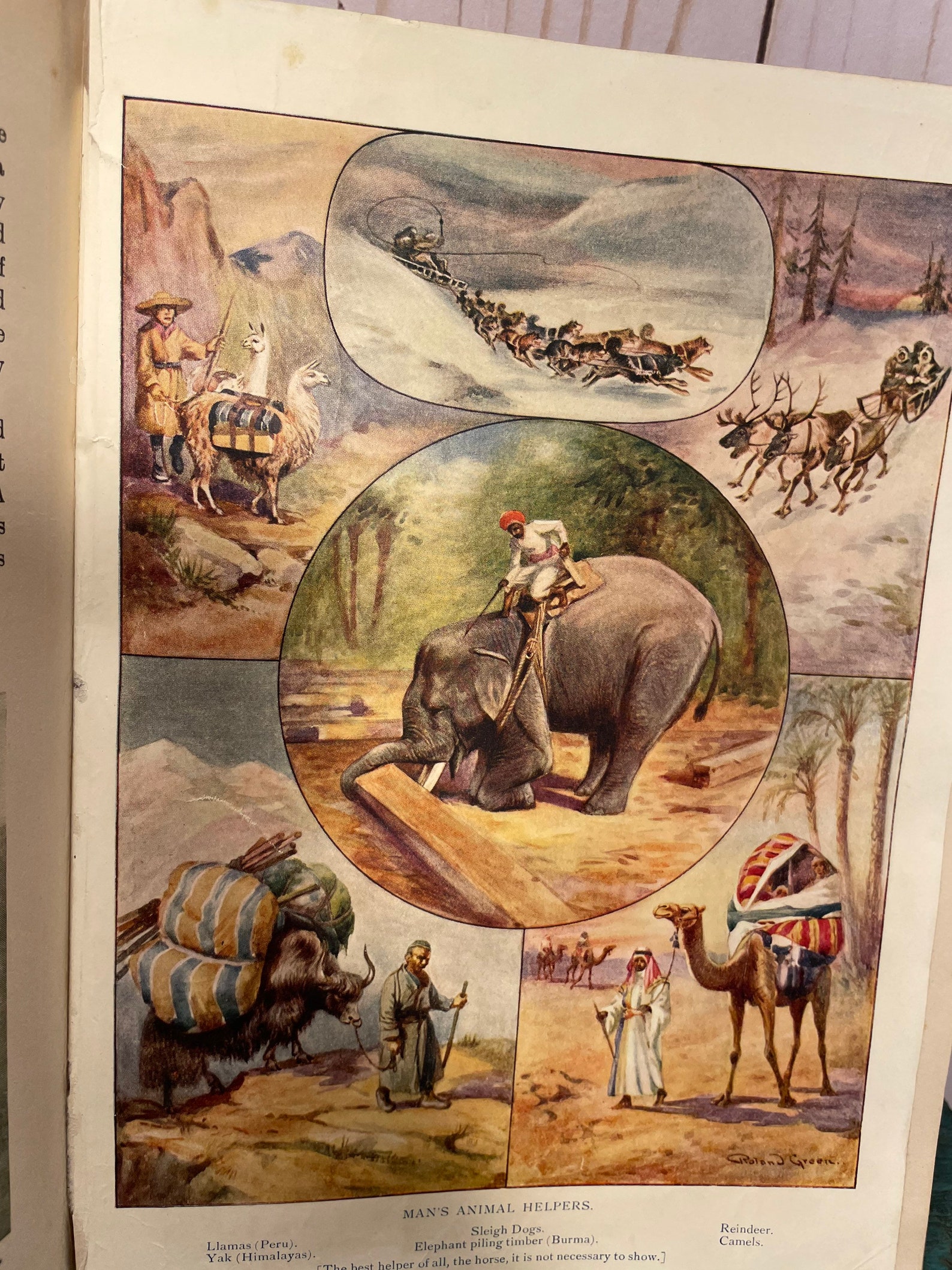 Antique Picture Book, British Children's Book, Wonder Book of Why and ...