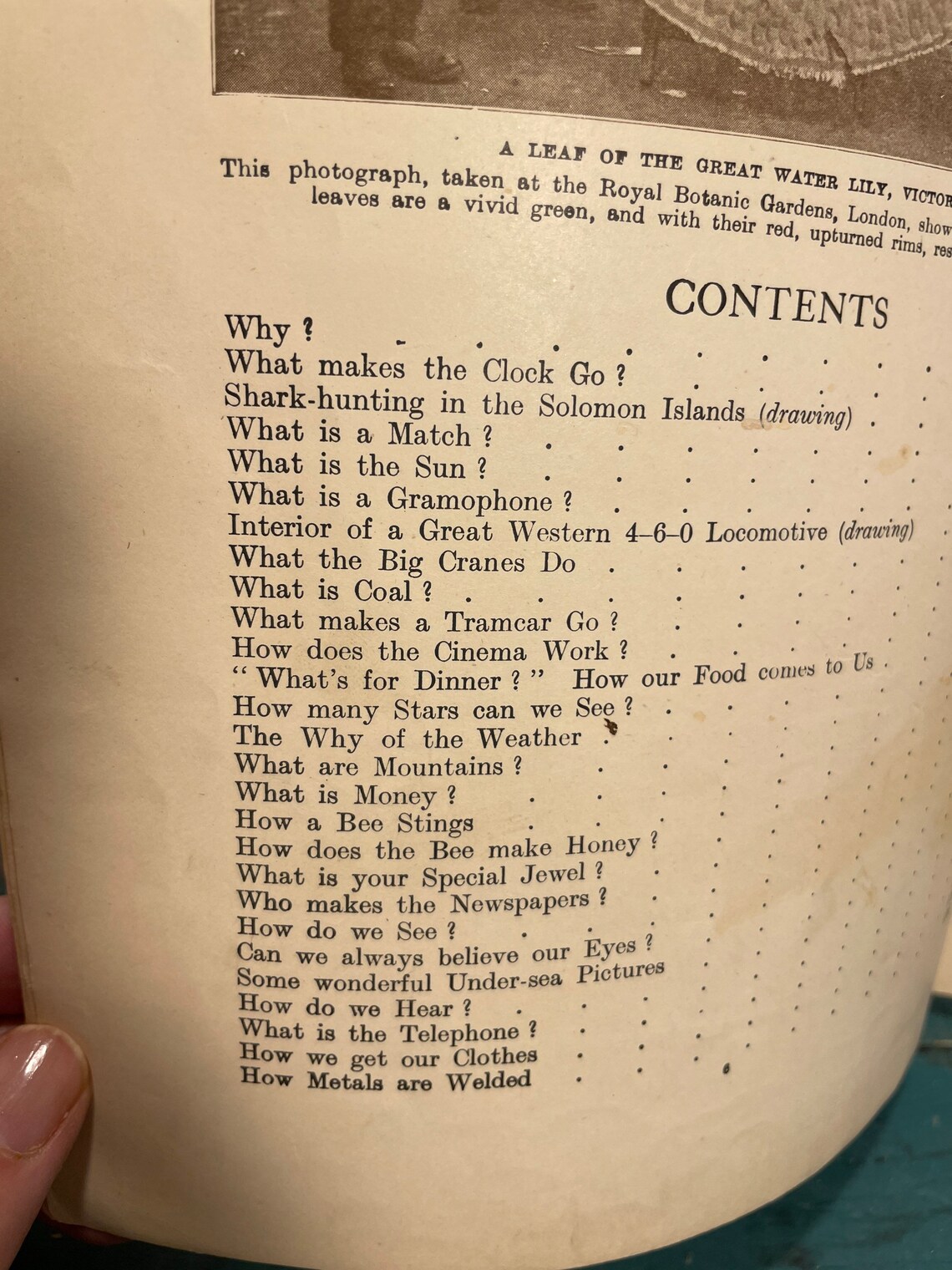 Antique Picture Book British Children's Book Wonder Book | Etsy