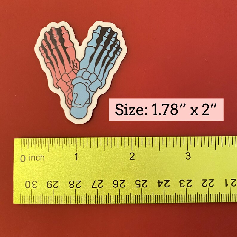 Foot Skeleton Heart Matte Sticker Podiatry/feet/medithings/ | Etsy