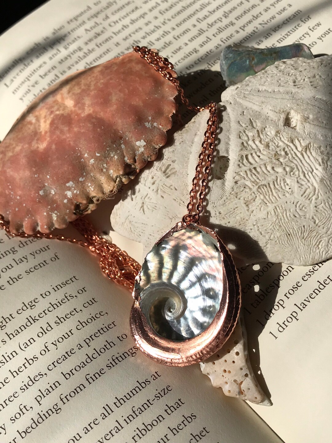 Reversible Real Mini Abalone Shell Necklace - Etsy Australia