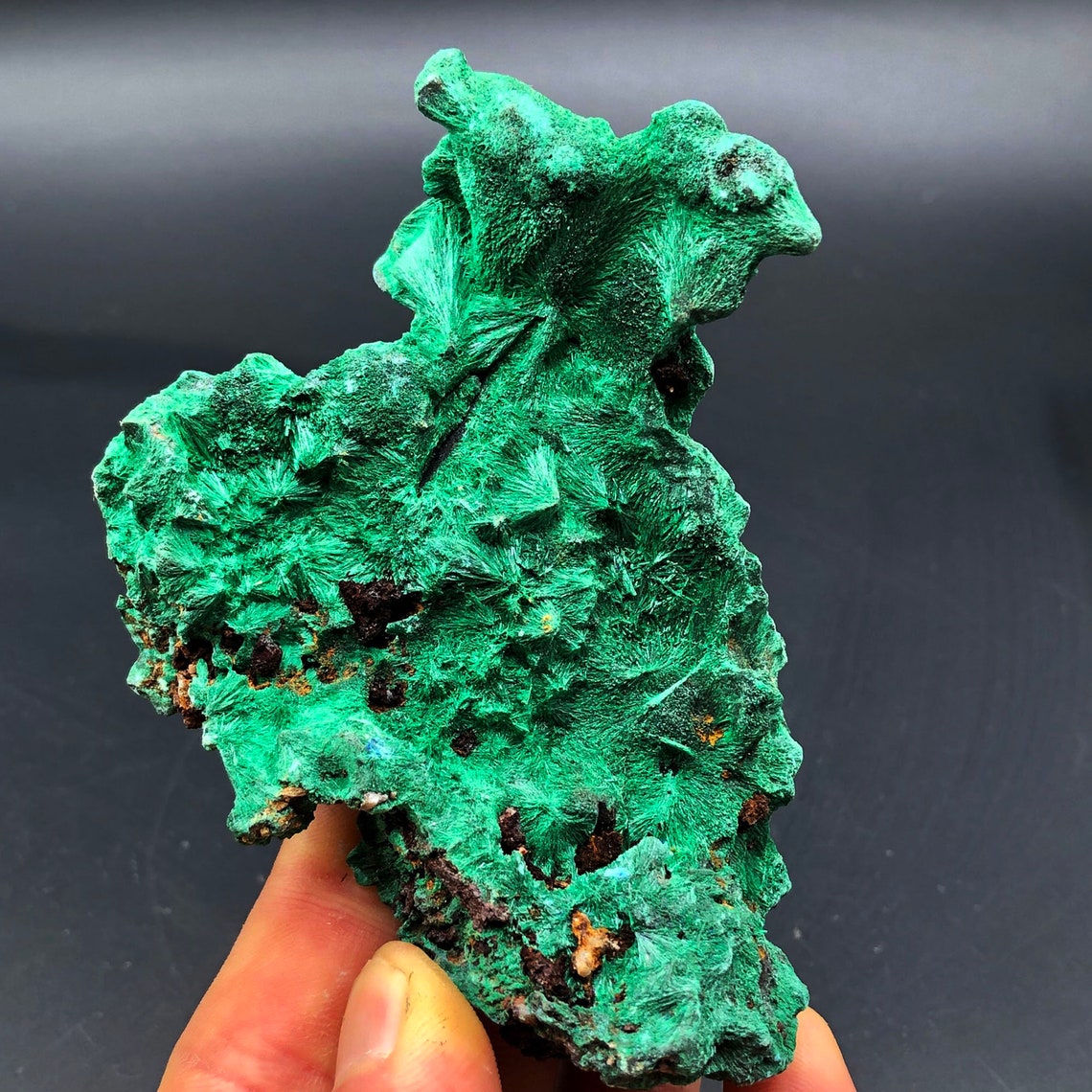 Natural Radial Green Malachite Crystal Specimen #2620 - Etsy
