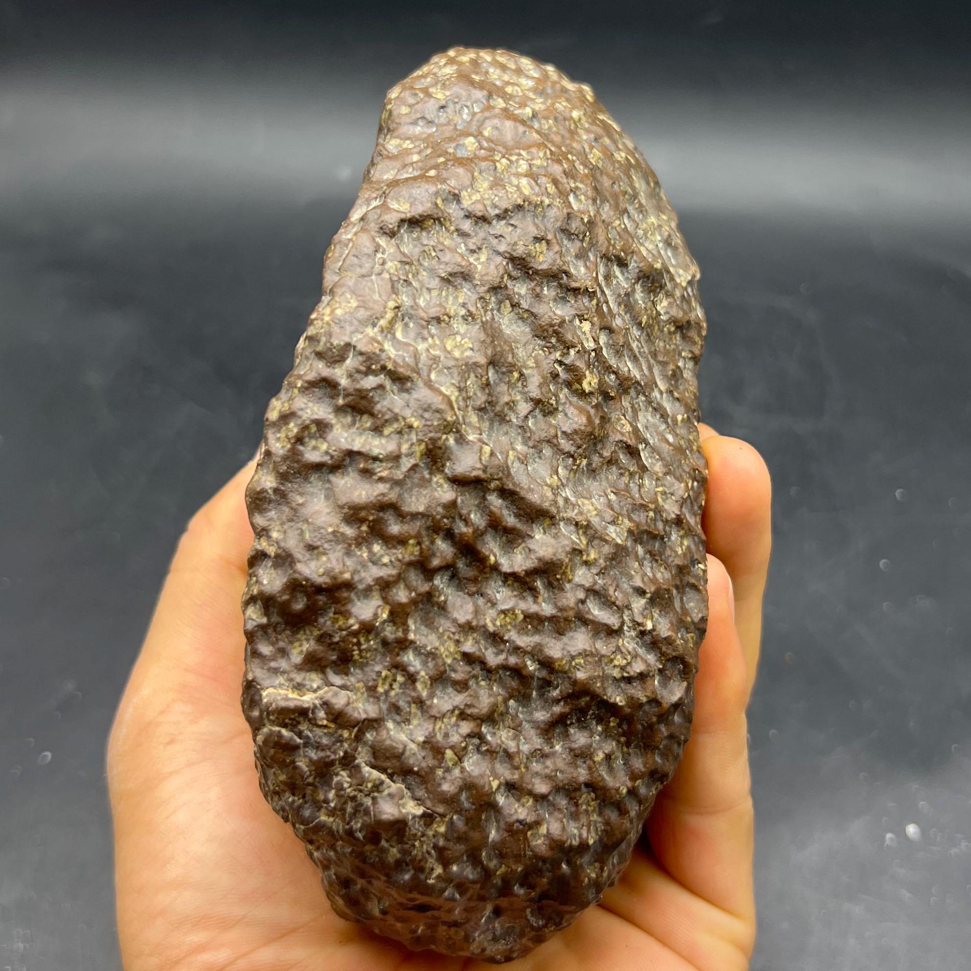 Carbonaceous Chondrite Rare And Mysterious Cosmic Meteorite Complete