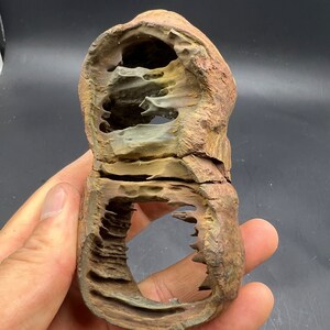 178g Rare Complete Natural Very Beautiful Specimen #A2186 - Etsy