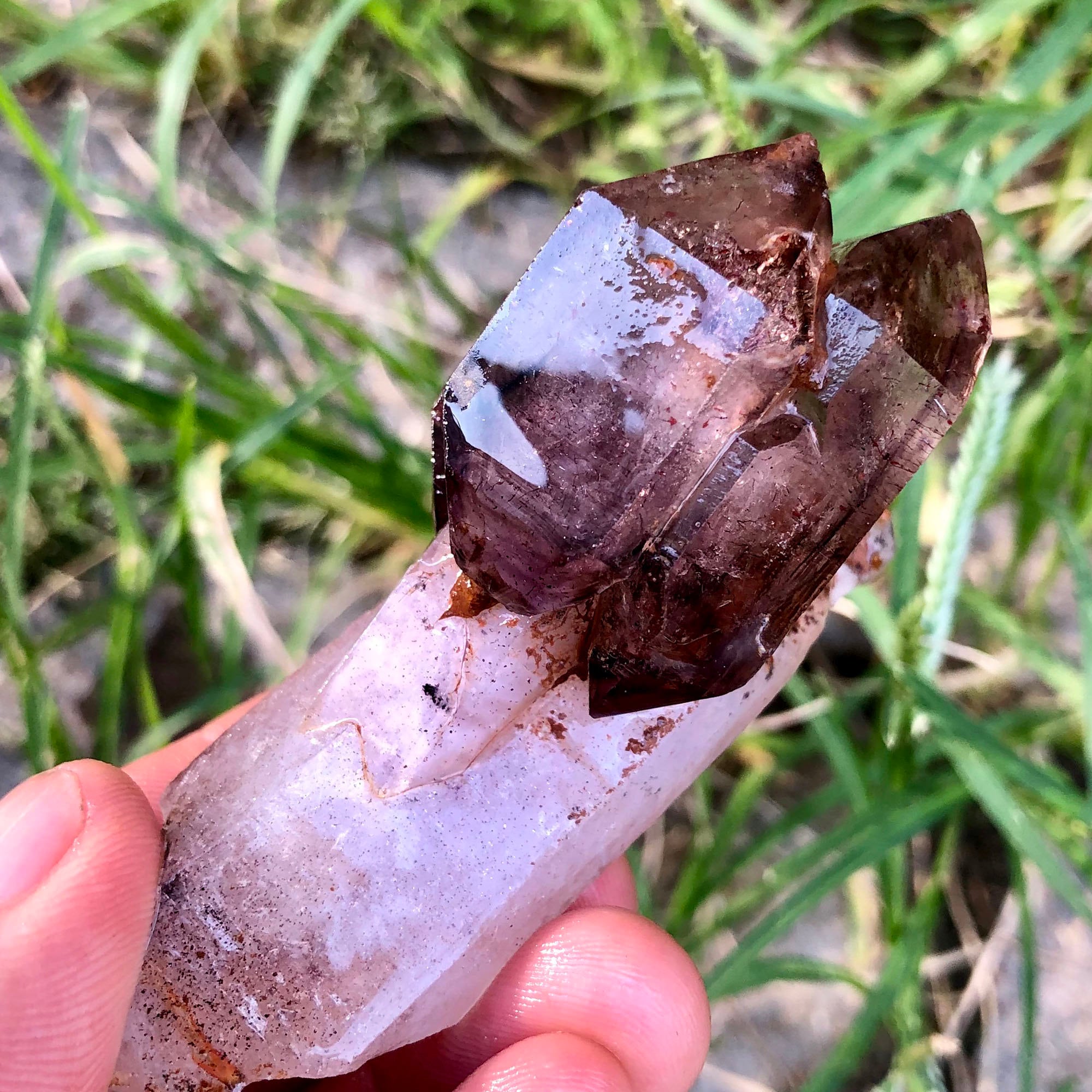 Super Seven Scepter Quartz Crystal, Amethyst Healing Stone (80mm) # ...