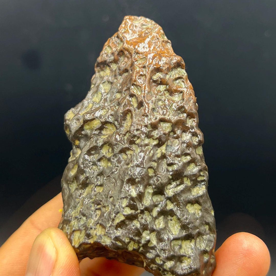 Natural Meteorite Pretty Complete Specimen A2326 - Etsy