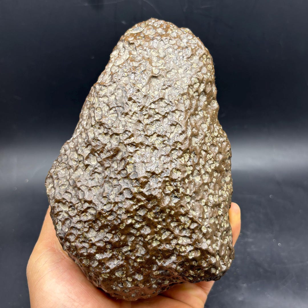 Carbonaceous Chondrite Rare and Mysterious Cosmic Meteorite Complete ...