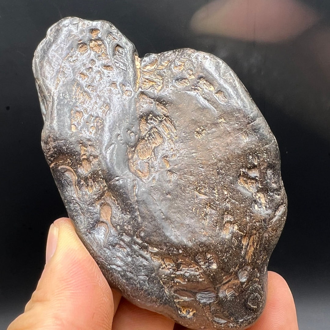 Stony Meteorite Natural Meteorite Iron BOXHOLE, Australia, Complete ...