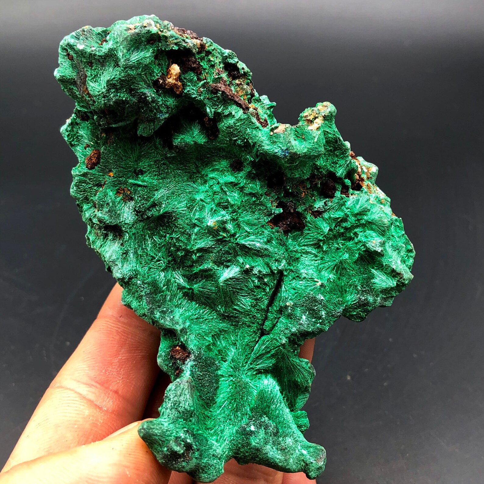 Natural radial green malachite crystal minerals | Etsy