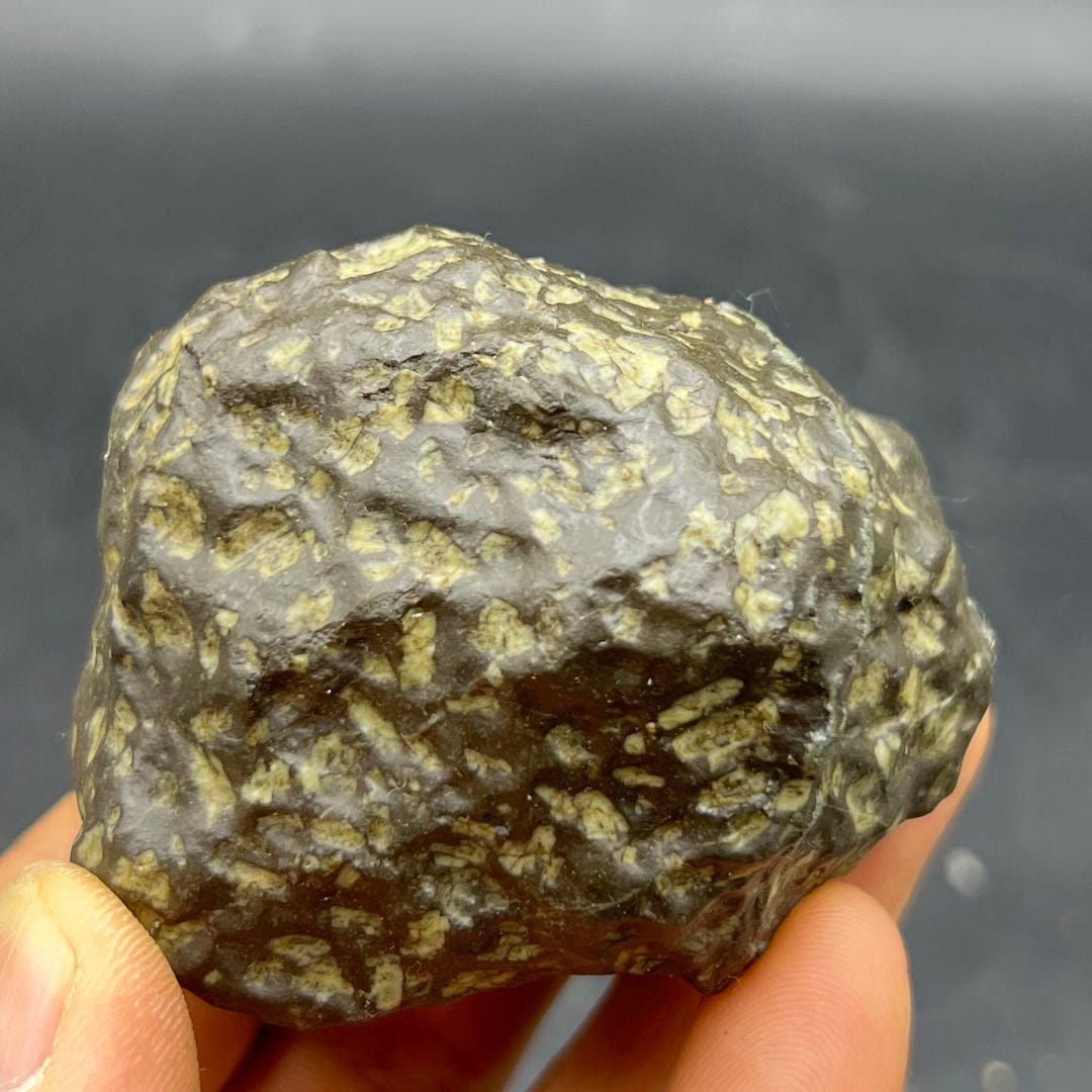 Natural Meteorite Pretty Complete Specimen A2360 - Etsy