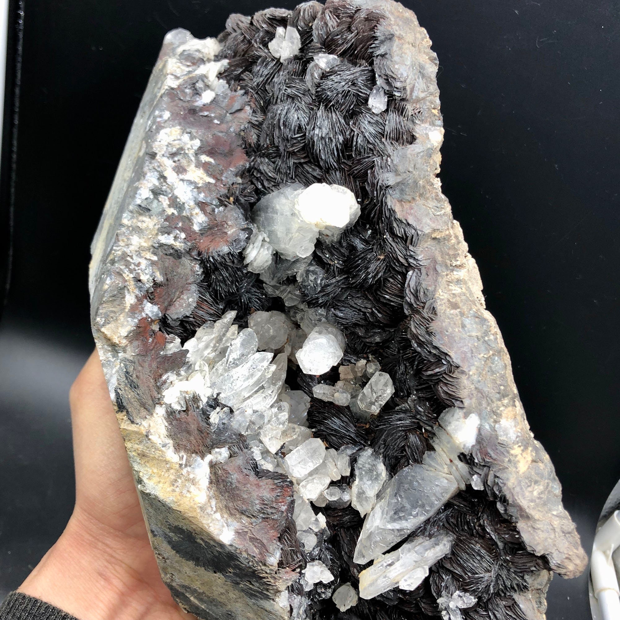 5.9kg Big Specularite Rosette / Graceful Black SPECULARITE / - Etsy