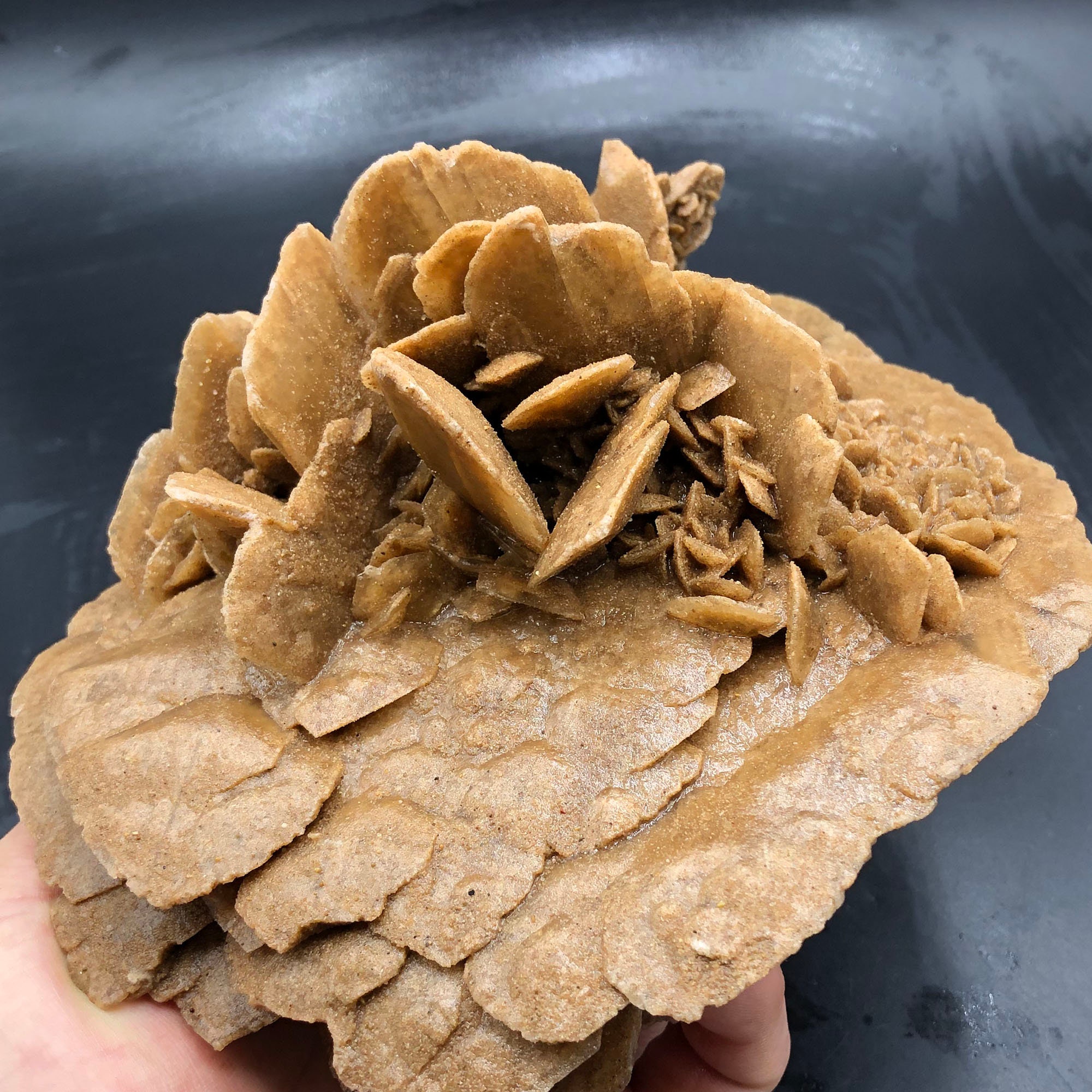 1400g Natural DESERT ROSE Healing Crystal Stone Mineral | Etsy