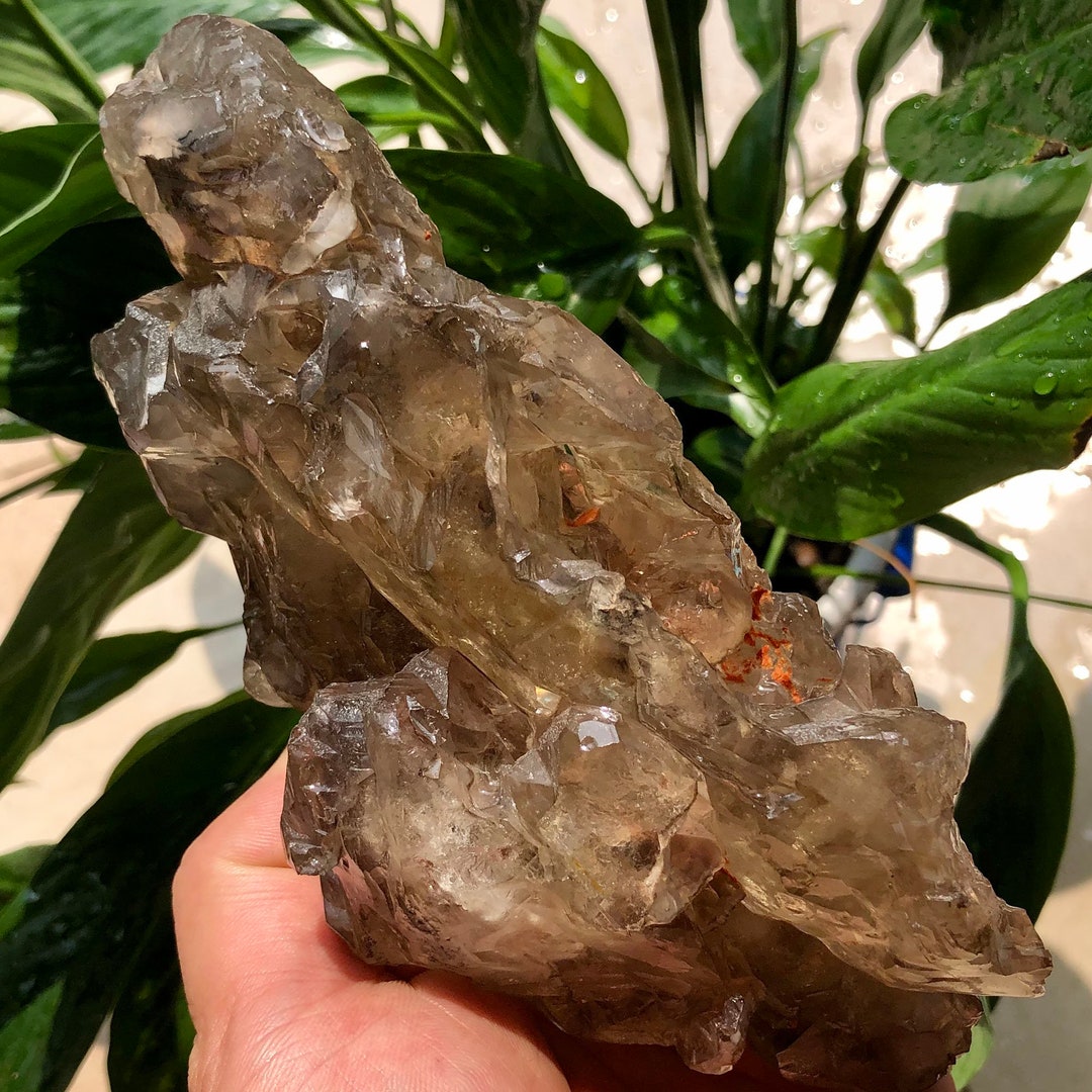 Crystal Bones Super Seven Crystal Very Rare Perfectly Formed Scepter ...