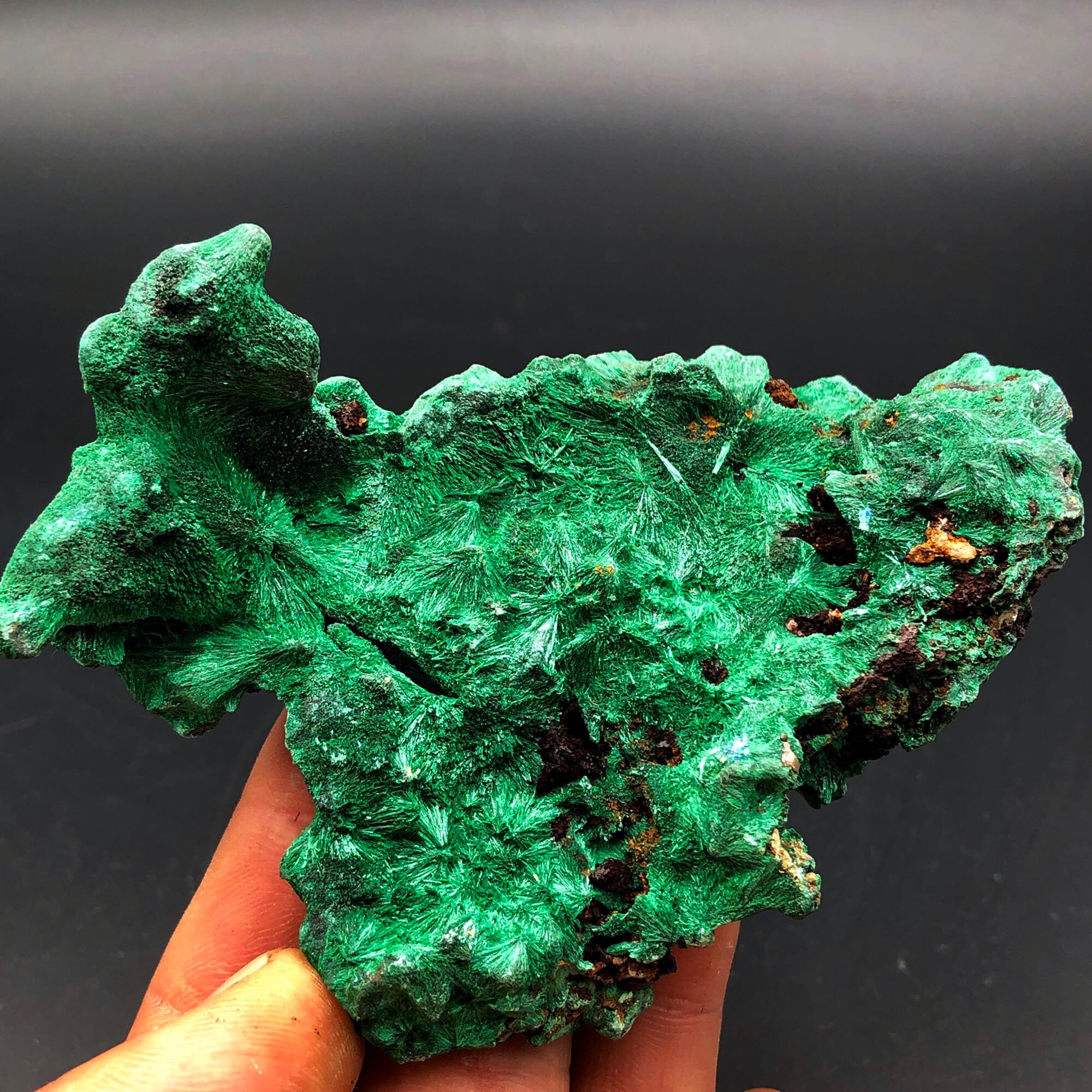 Natural Radial Green Malachite Crystal Minerals - Etsy