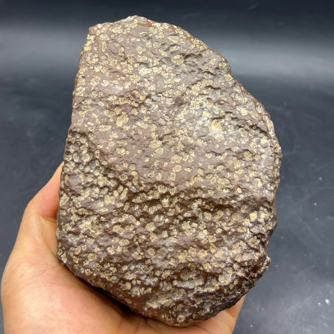 Carbonaceous Chondrite Rare and Mysterious Cosmic Meteorite Complete ...