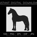 Friesian Decal SVG Horse SVG Horse Cut File Silhouette - Etsy Canada