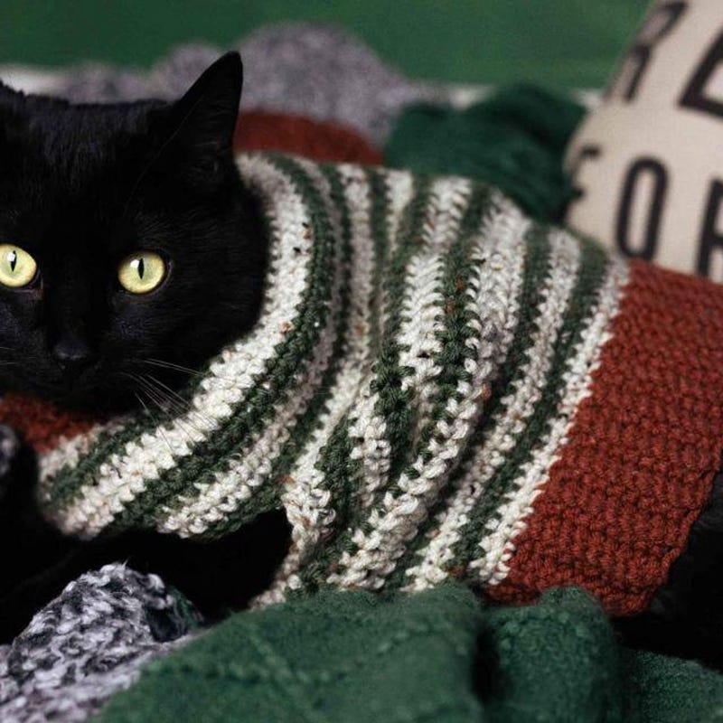 Crochet Cat Sweater - Etsy
