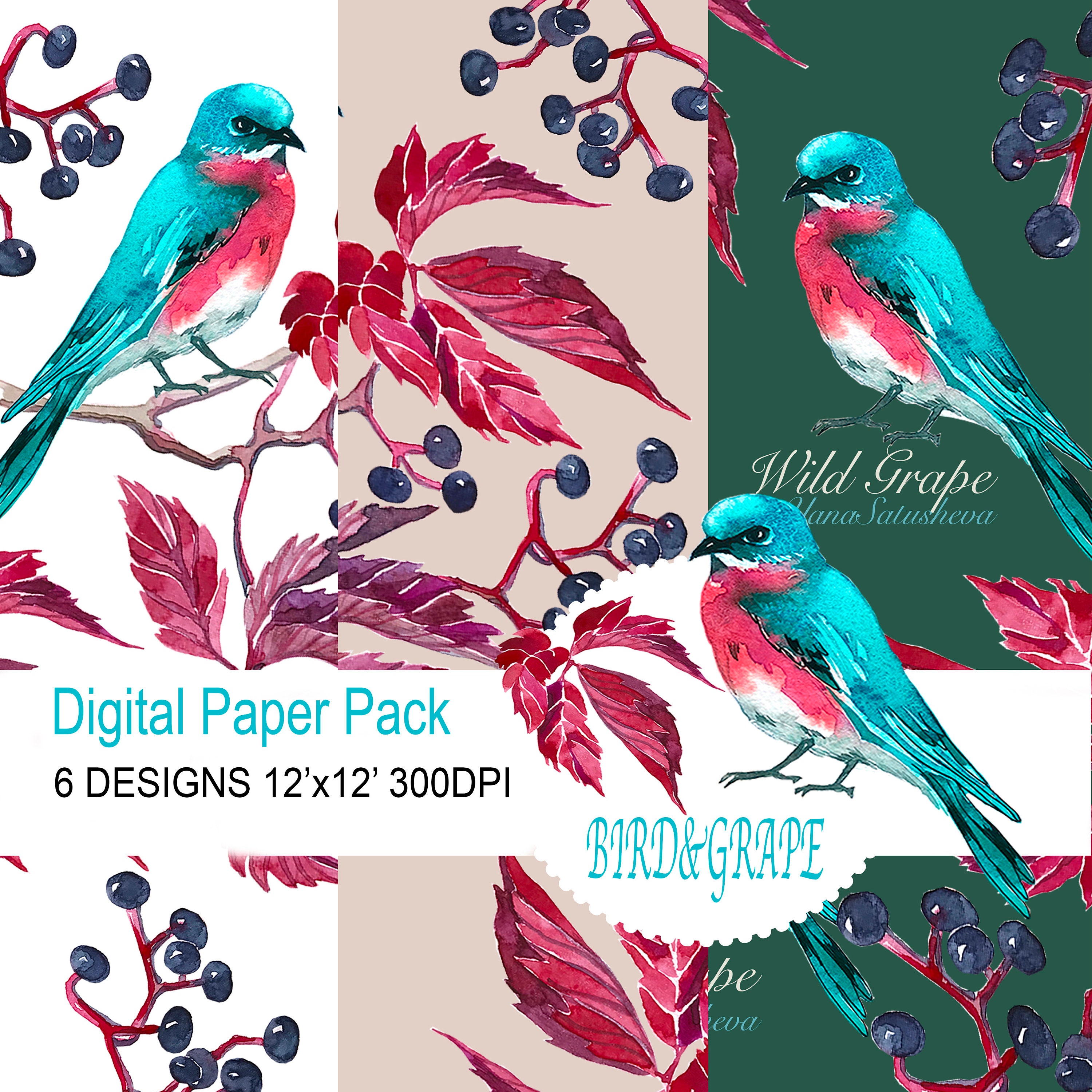 Watecolor Digital Paper,bird Digital Paper, Watecolor,d/y Pack Bird ...