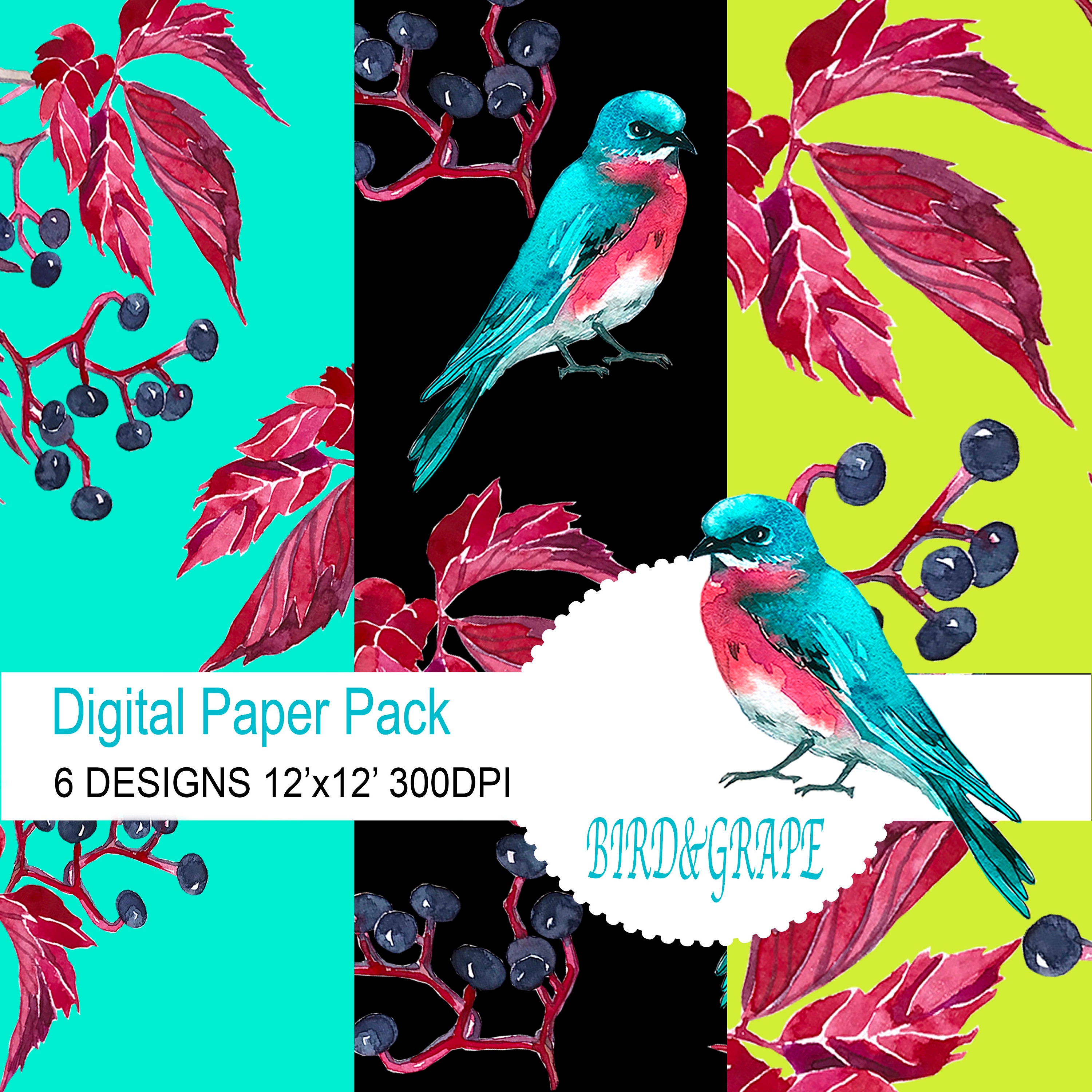 Watecolor Digital Paper,bird Digital Paper, Watecolor,d/y Pack Bird ...