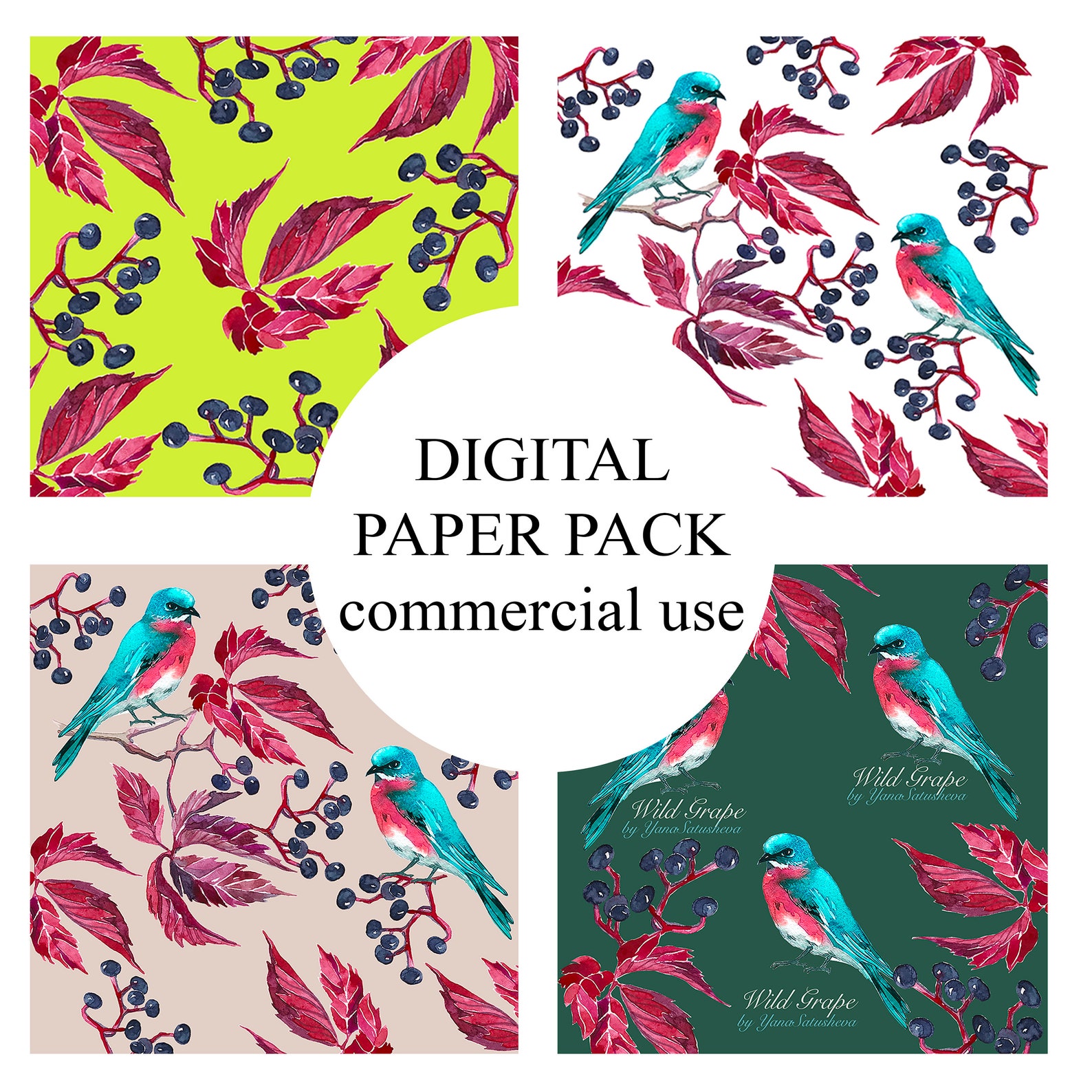 Watecolor Digital Paper,bird Digital Paper, Watecolor,d/y Pack Bird ...