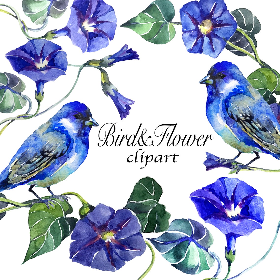 Bird&flower Clipart,bird Clipart,flower Clipart,watercolor Clipart ...