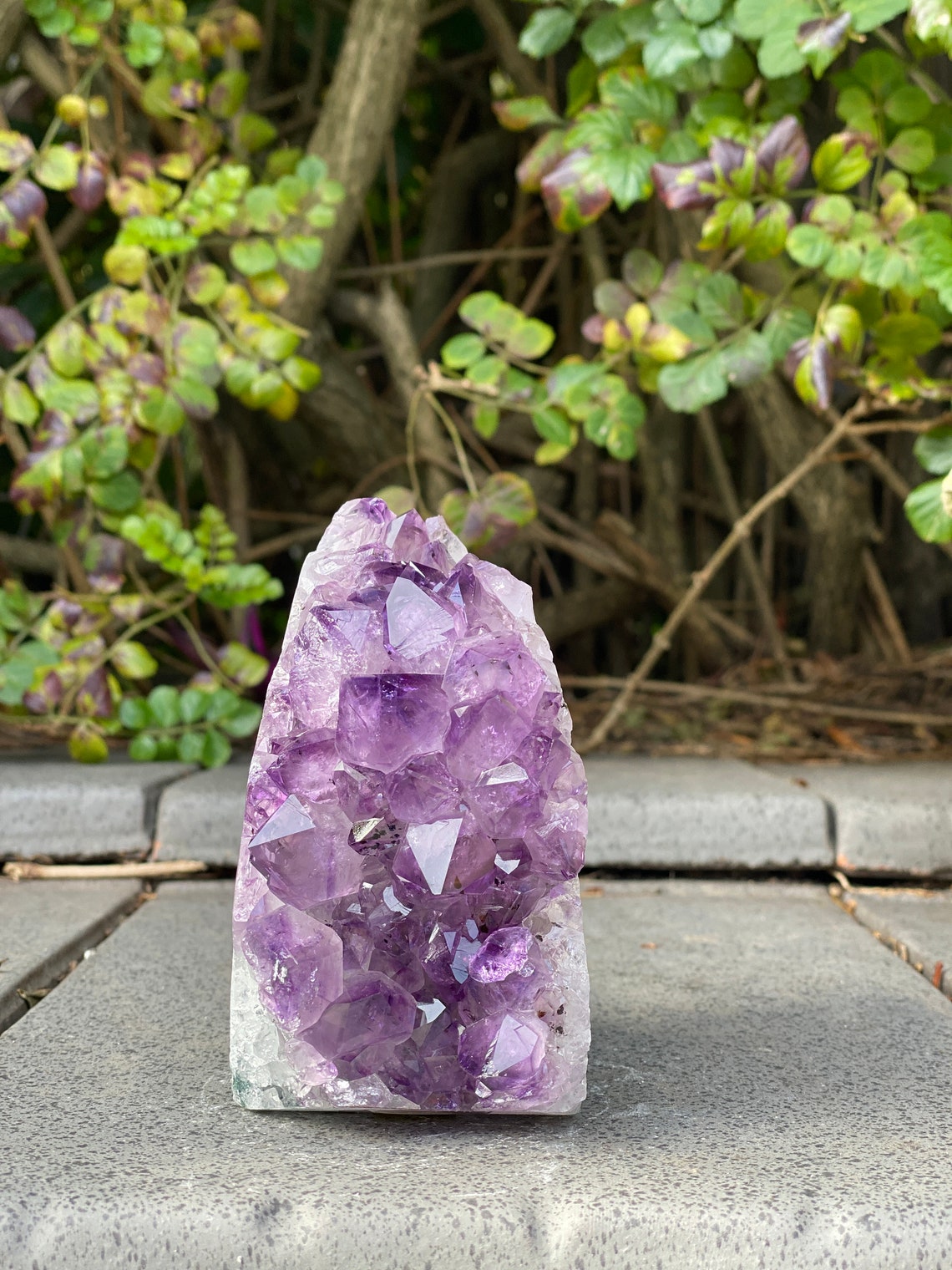 Amethyst Geode Unique Raw Crystal Cluster - Etsy