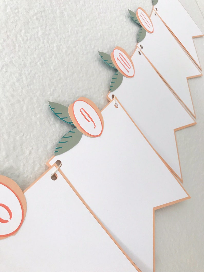 12 Month Sweet Peach Photo Banner Sweet as a Peach Little - Etsy