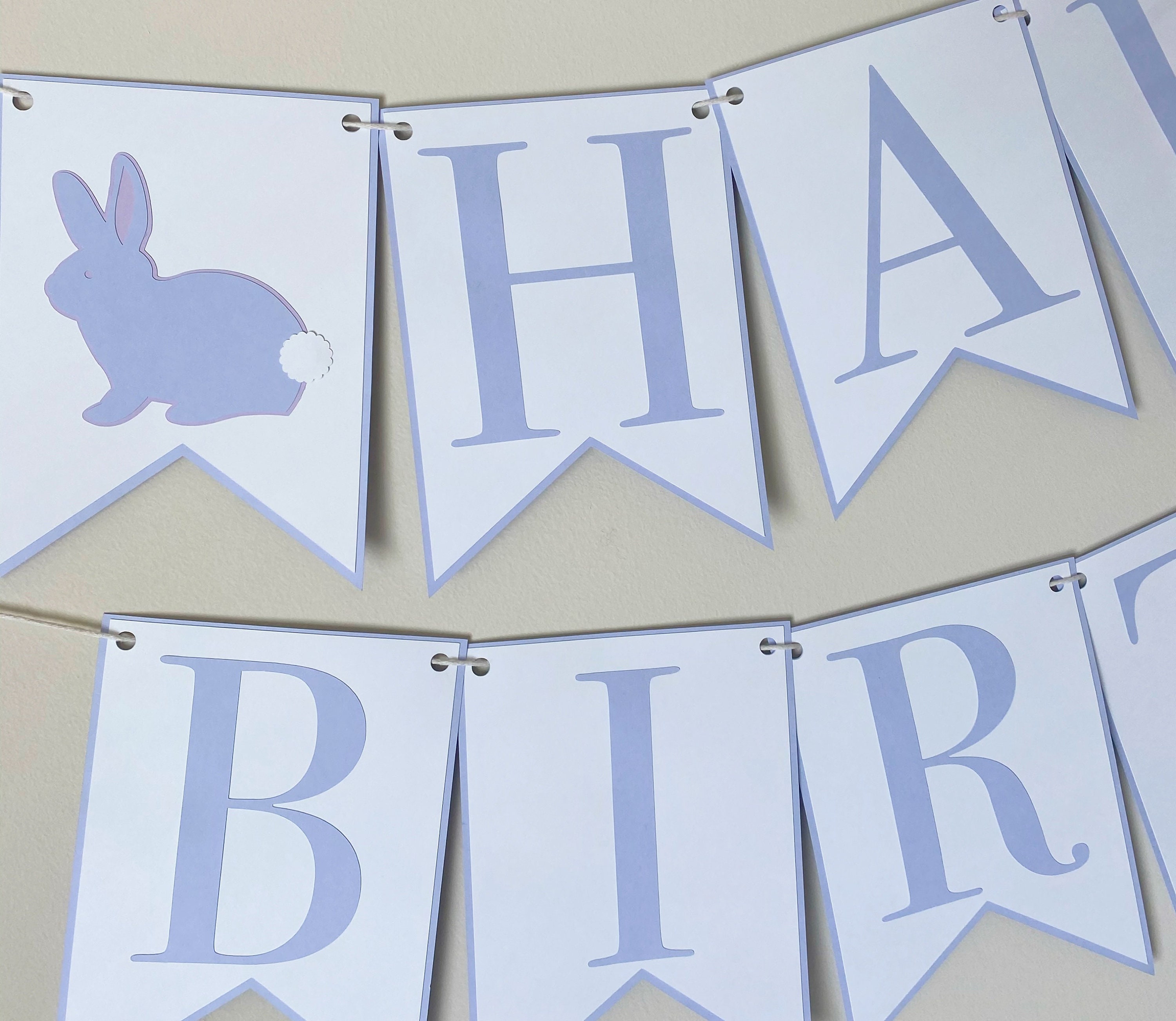 Bunny Love Happy Birthday Banner Some Bunny Party Girl Boy | Etsy