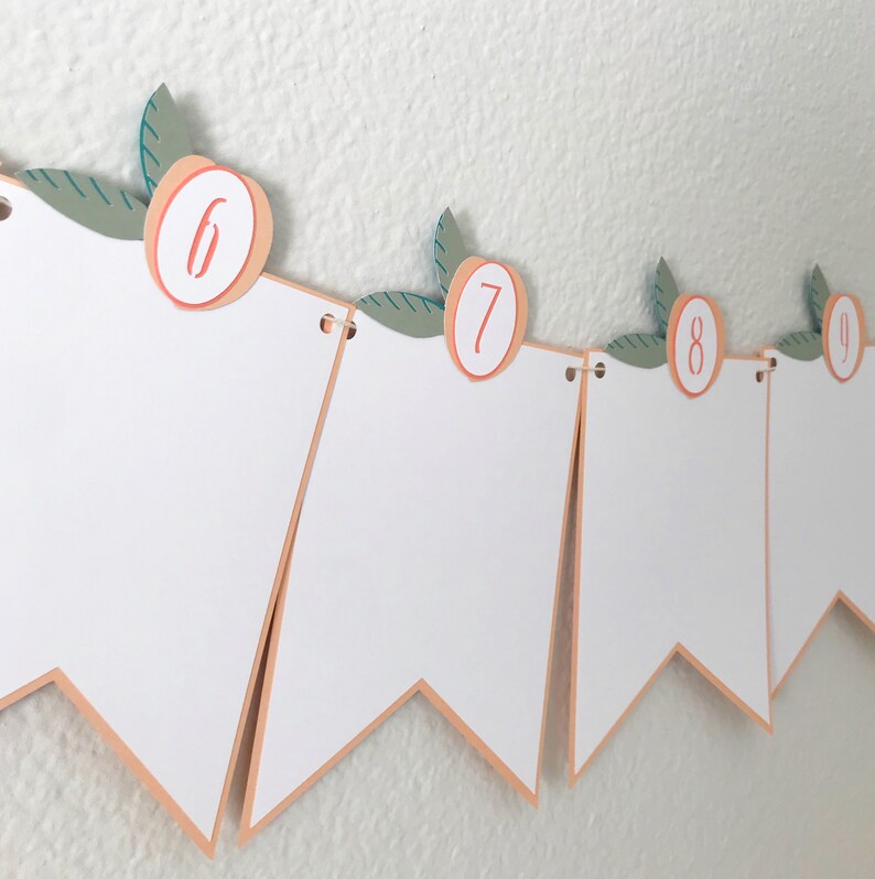 12 Month Sweet Peach Photo Banner Sweet as a Peach Little - Etsy