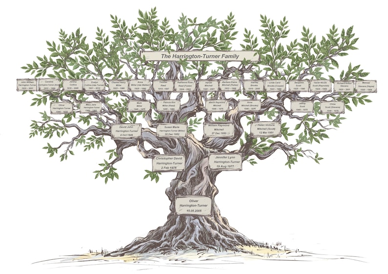 5 Generation Family Tree Template Fillable PDF File - Etsy Canada