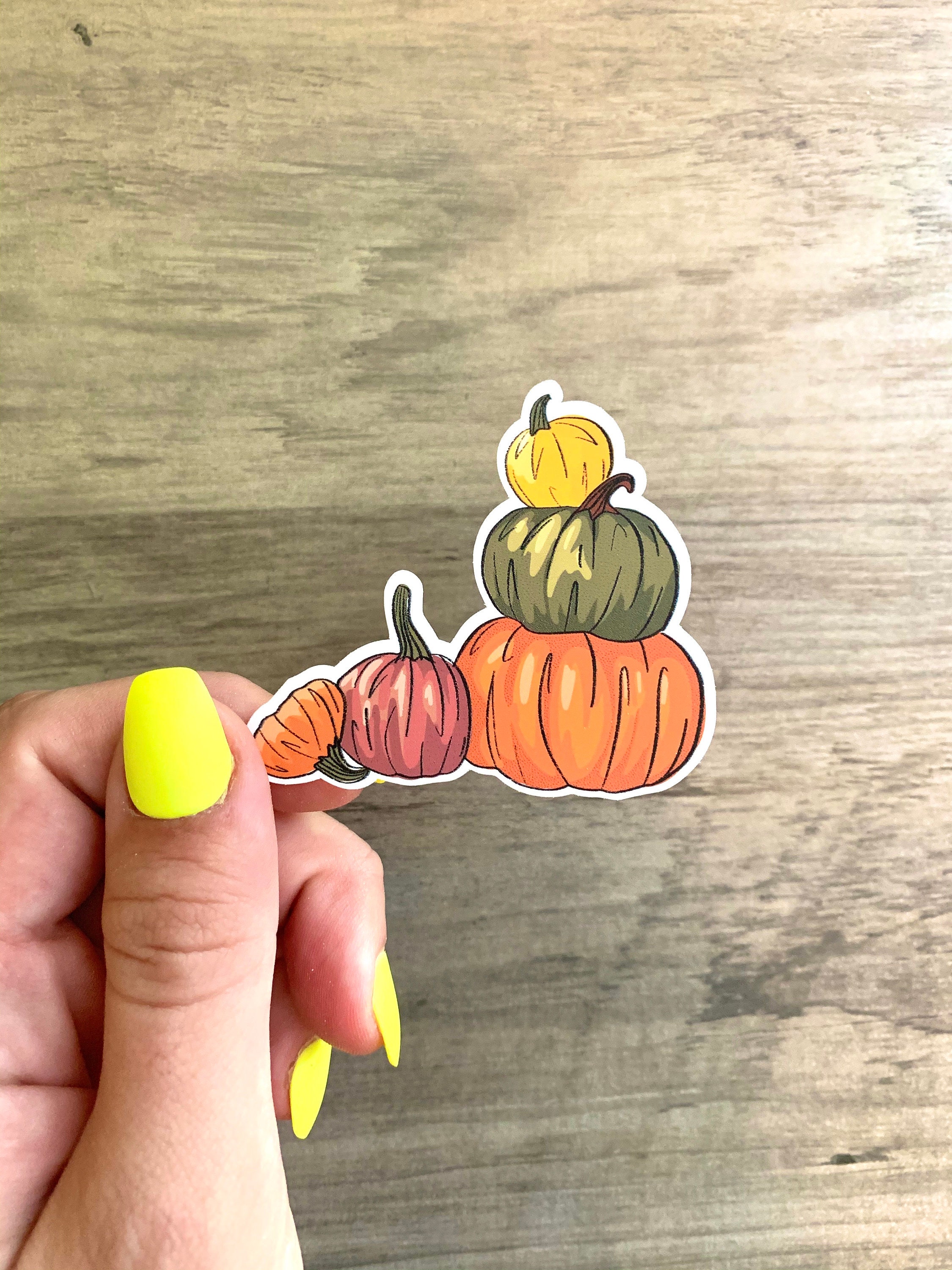 Fall Sticker Pumpkin Patch Pumpkin Sticker Vinyl Sticker | Etsy