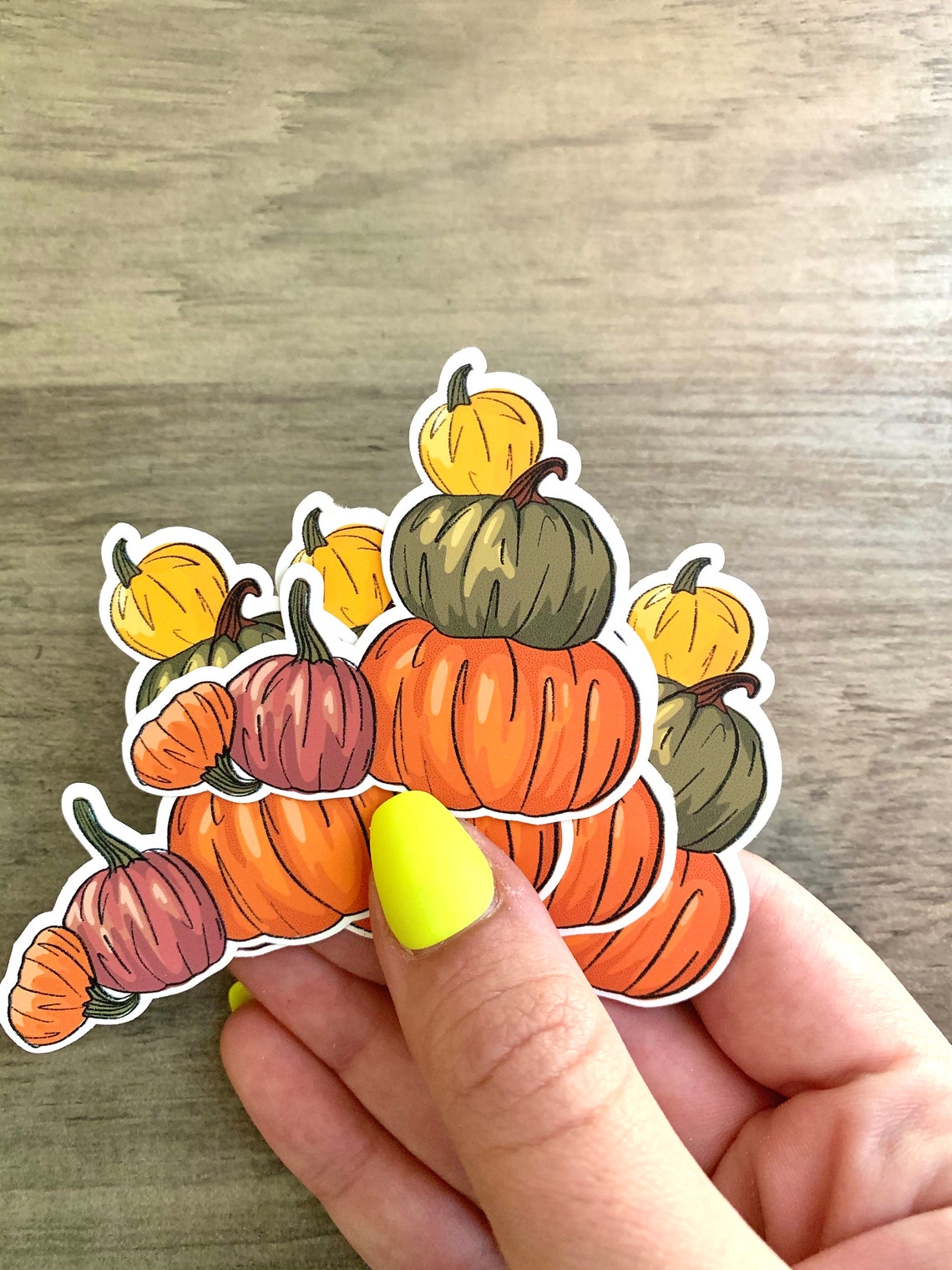 Fall Sticker Pumpkin Patch Pumpkin Sticker Vinyl Sticker - Etsy