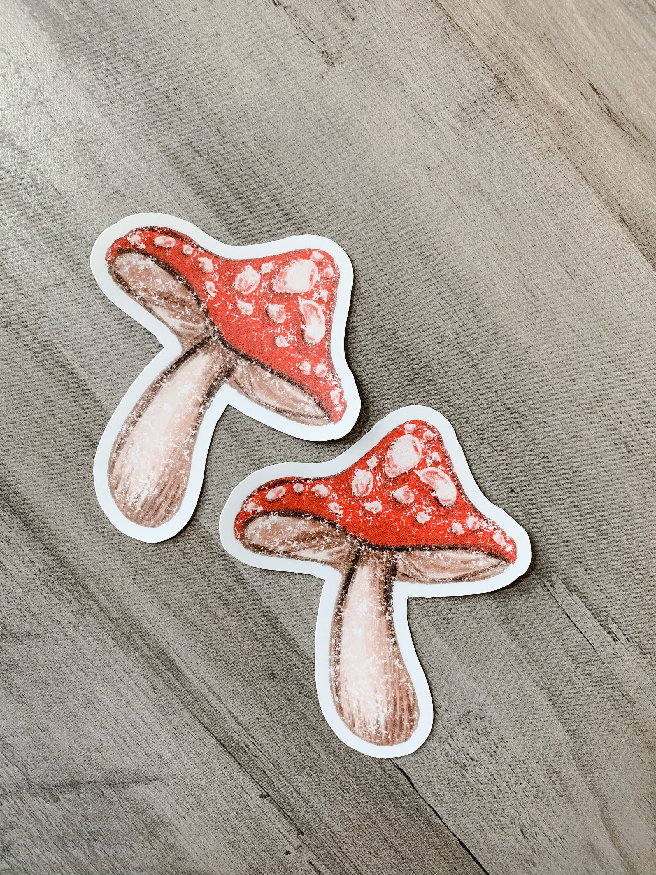 Mushroom Sticker Fun-Guy Vinyl Sticker Plant Sticker | Etsy