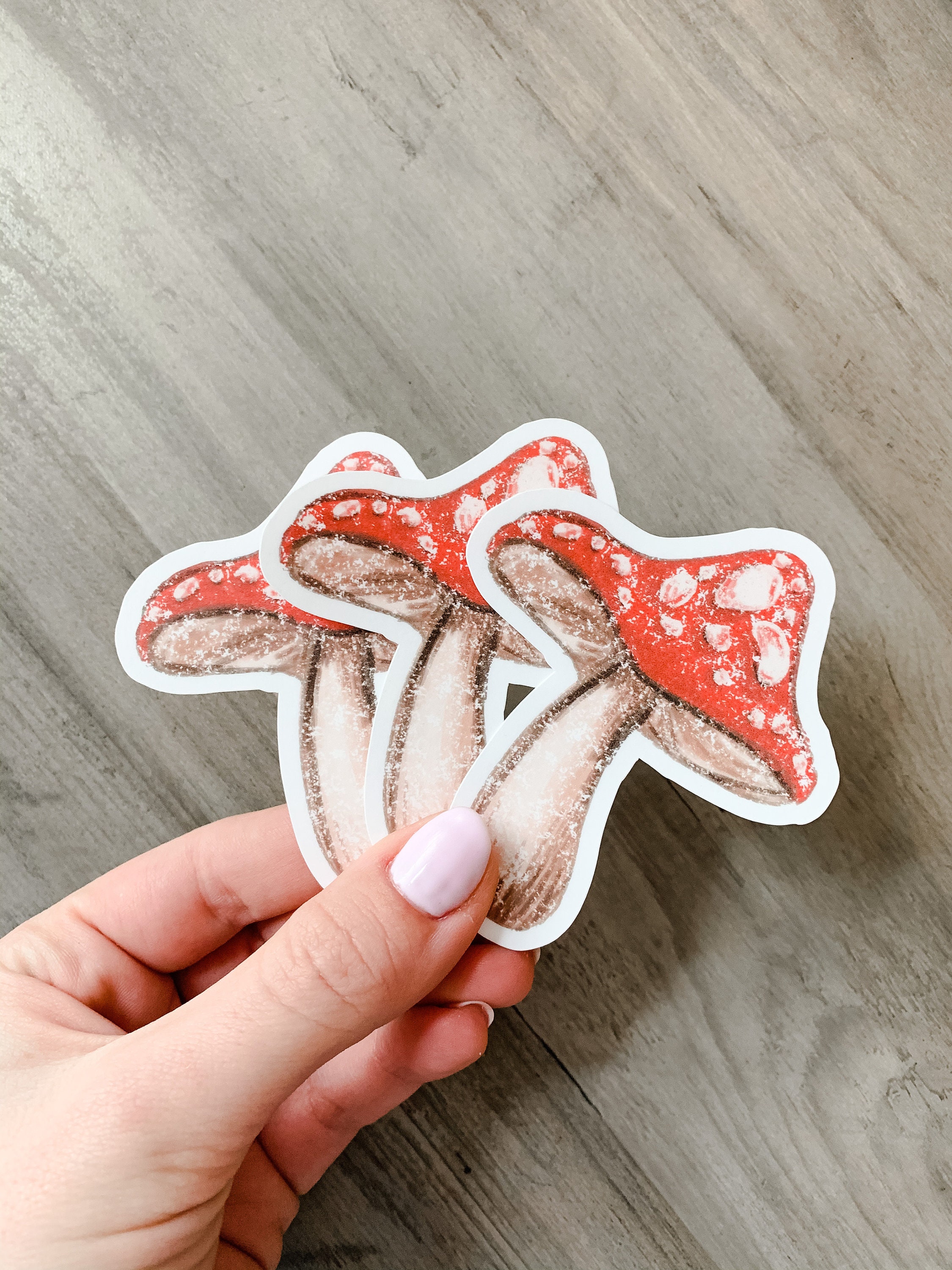 Mushroom Sticker | Fun-guy | Vinyl Sticker, Plant Sticker, Mushroom ...