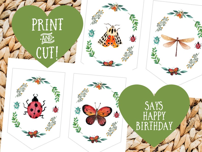 Bug Cards & Gifts Sign Bug Baby Shower Bug Birthday Bug - Etsy