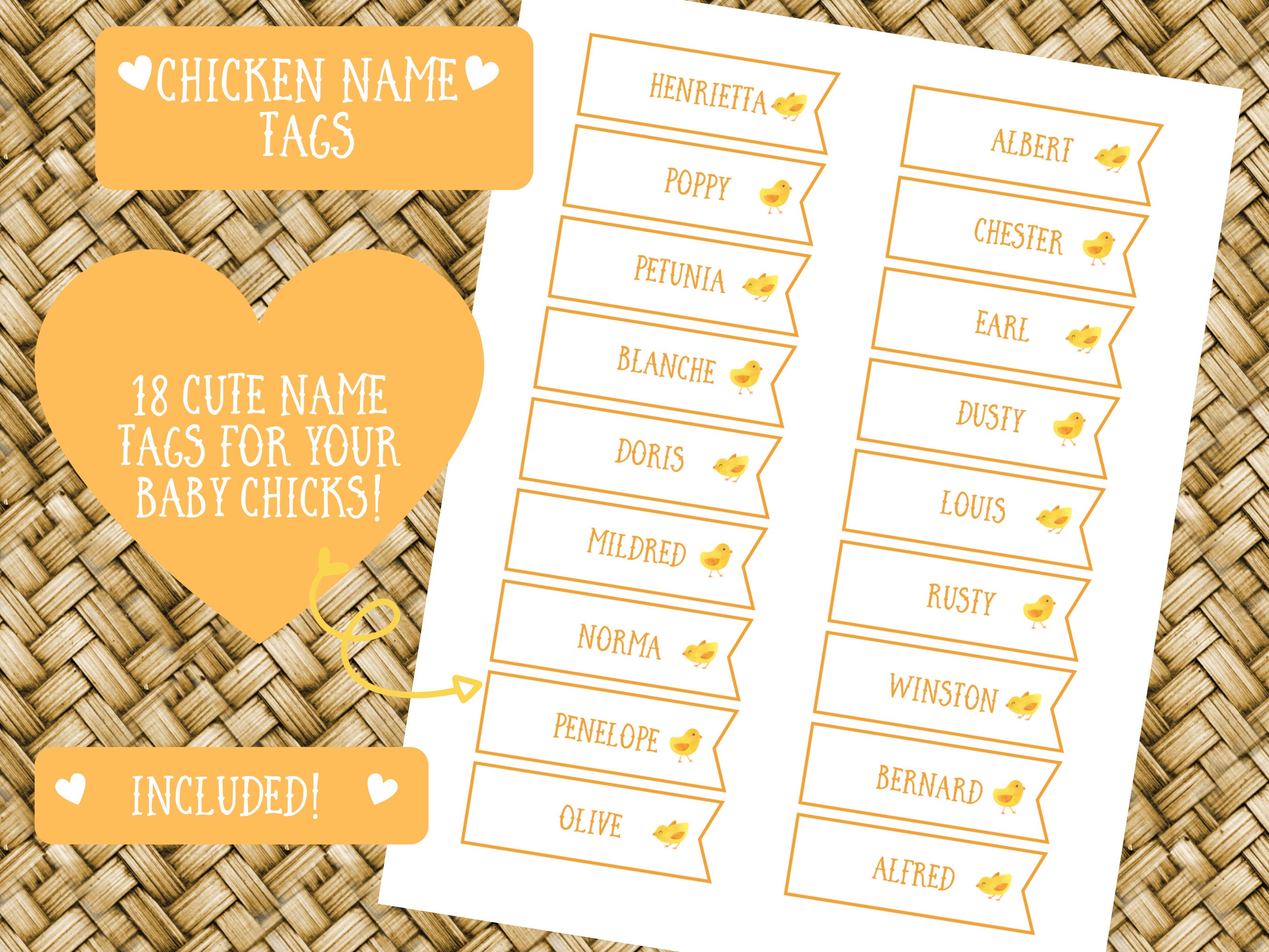 Chicken Birthday Adoption Sign Printable 8x10 Chicken Birthday | Etsy