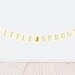 Little Sprout Banner Little Sprout Baby Shower Garden - Etsy