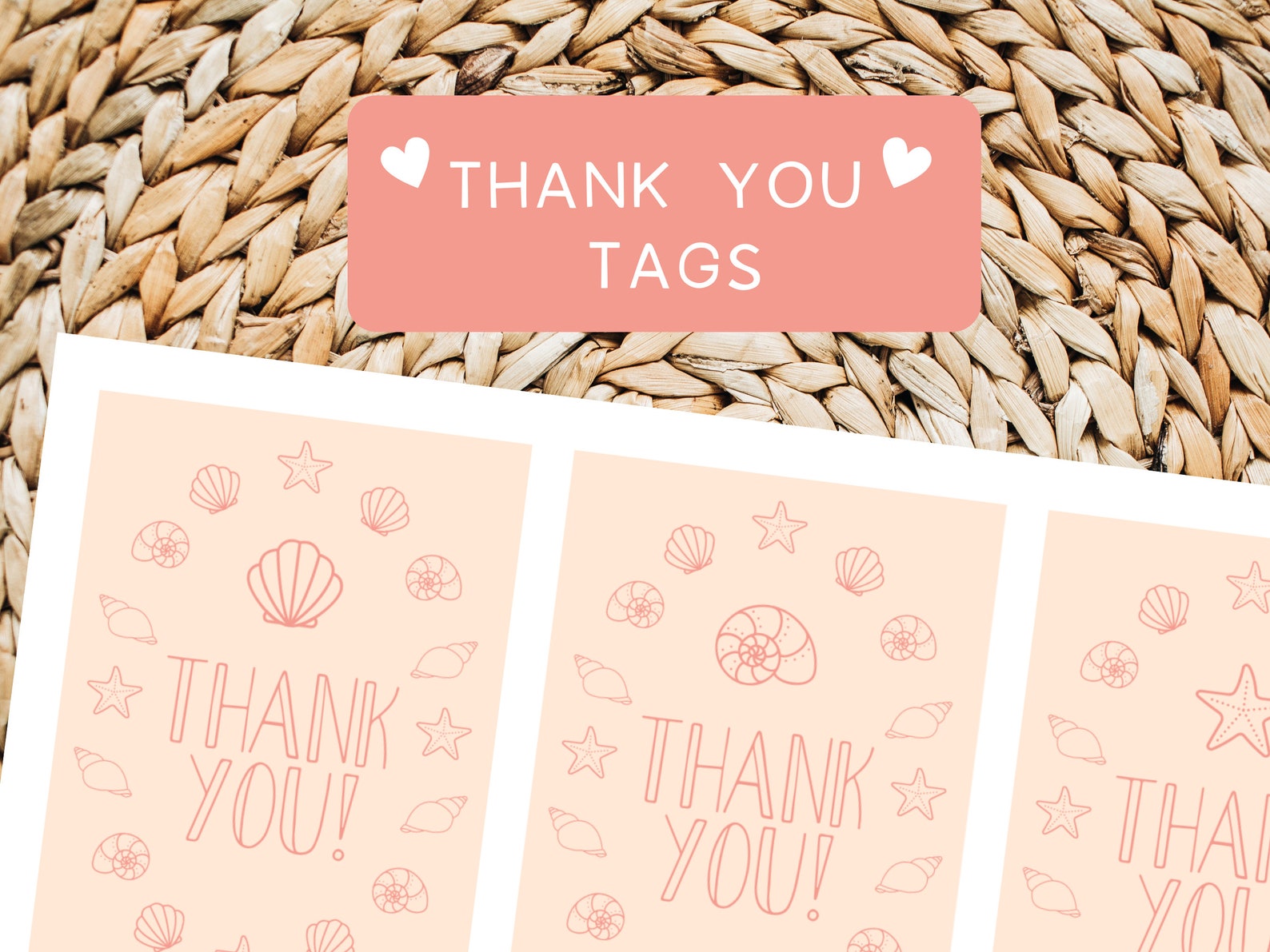 Let's Shellebrate Sign Beach Babe Birthday Shell - Etsy