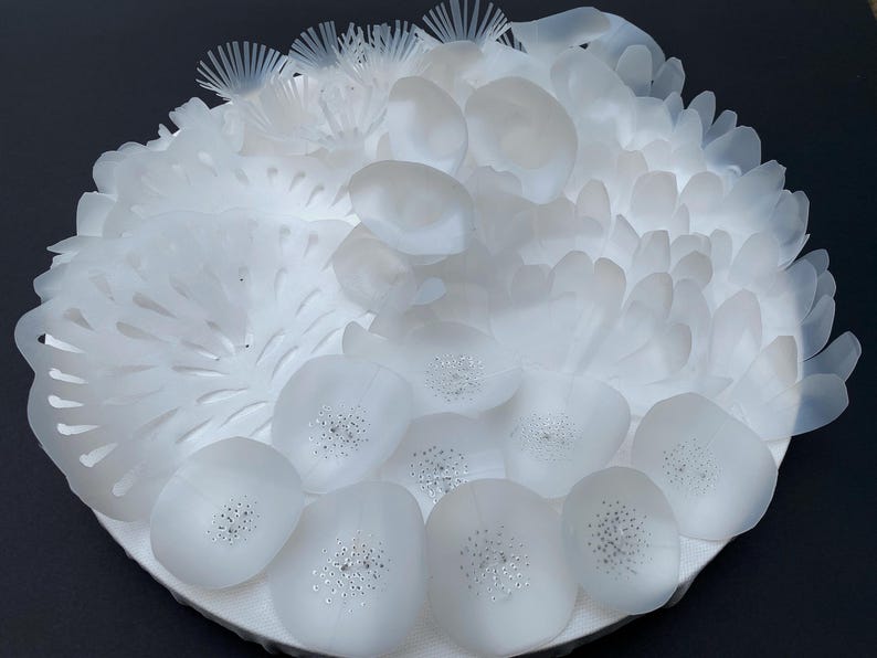 Coral Reef Wall Sculpture,circular Wall Art, Underwater Oceanlife ...