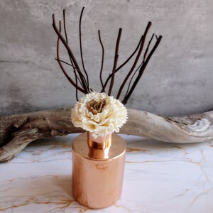 Willow Reed Sola Flower Diffuser/clear or Rose Gold Glass/all-natural ...
