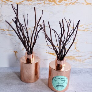 Willow Reed Sola Flower Diffuser/clear or Rose Gold Glass/all-natural ...