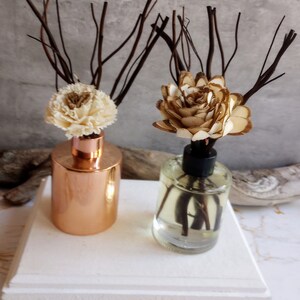 Willow Reed Sola Flower Diffuser/clear or Rose Gold Glass/all-natural ...