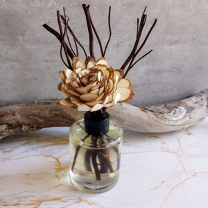 Willow Reed Sola Flower Diffuser/clear or Rose Gold Glass/all-natural ...