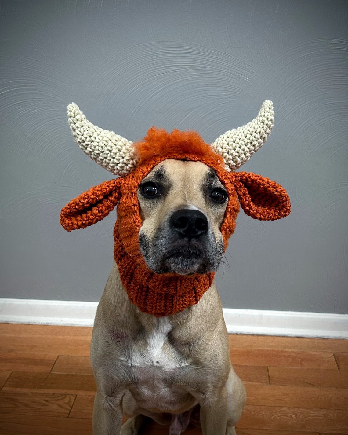 Highland Cow Dog Snood Cowl Pattern-dog Snood-dog Snood Crochet Pattern ...