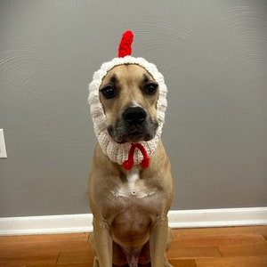 Chicken Dog Snood Cowl Pattern-dog Snood-dog Snood Crochet Pattern ...