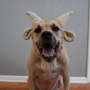 Farm BUNDLE 4 Crochet Dog Snood Pattern-chicken-cow-highland Cow-dog ...