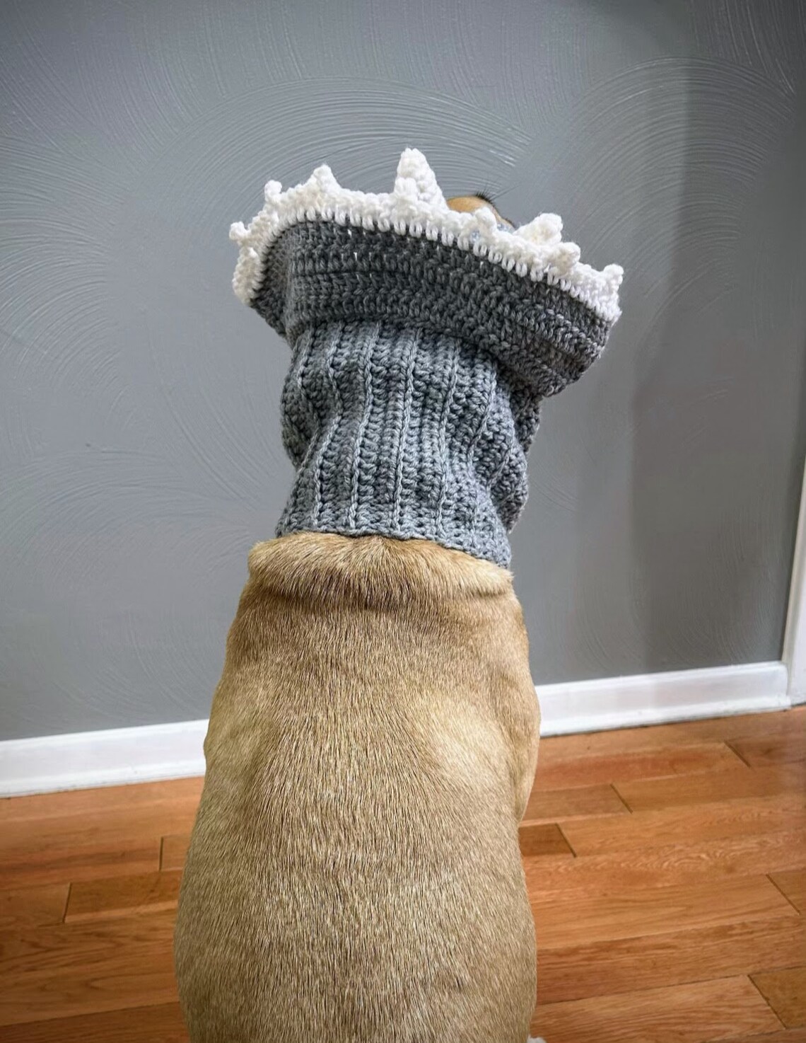 Triceratops Dog Snood Cowl Pattern-dog Snood-dog Snood Crochet Pattern ...