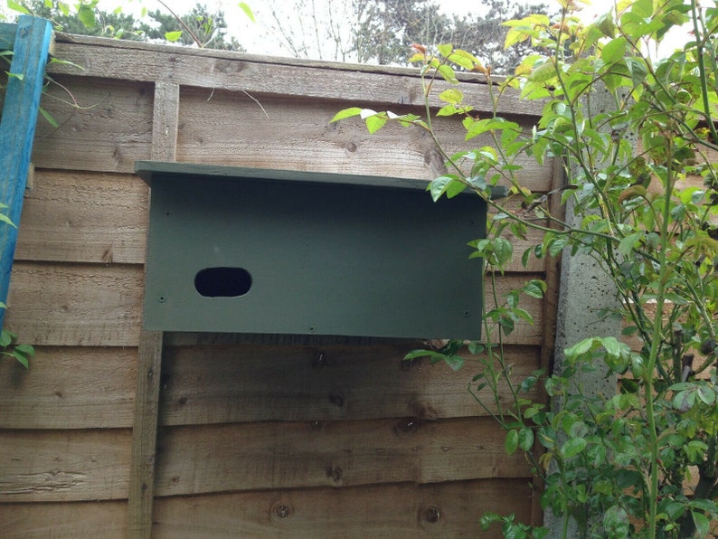 Swift Nesting Box - Etsy