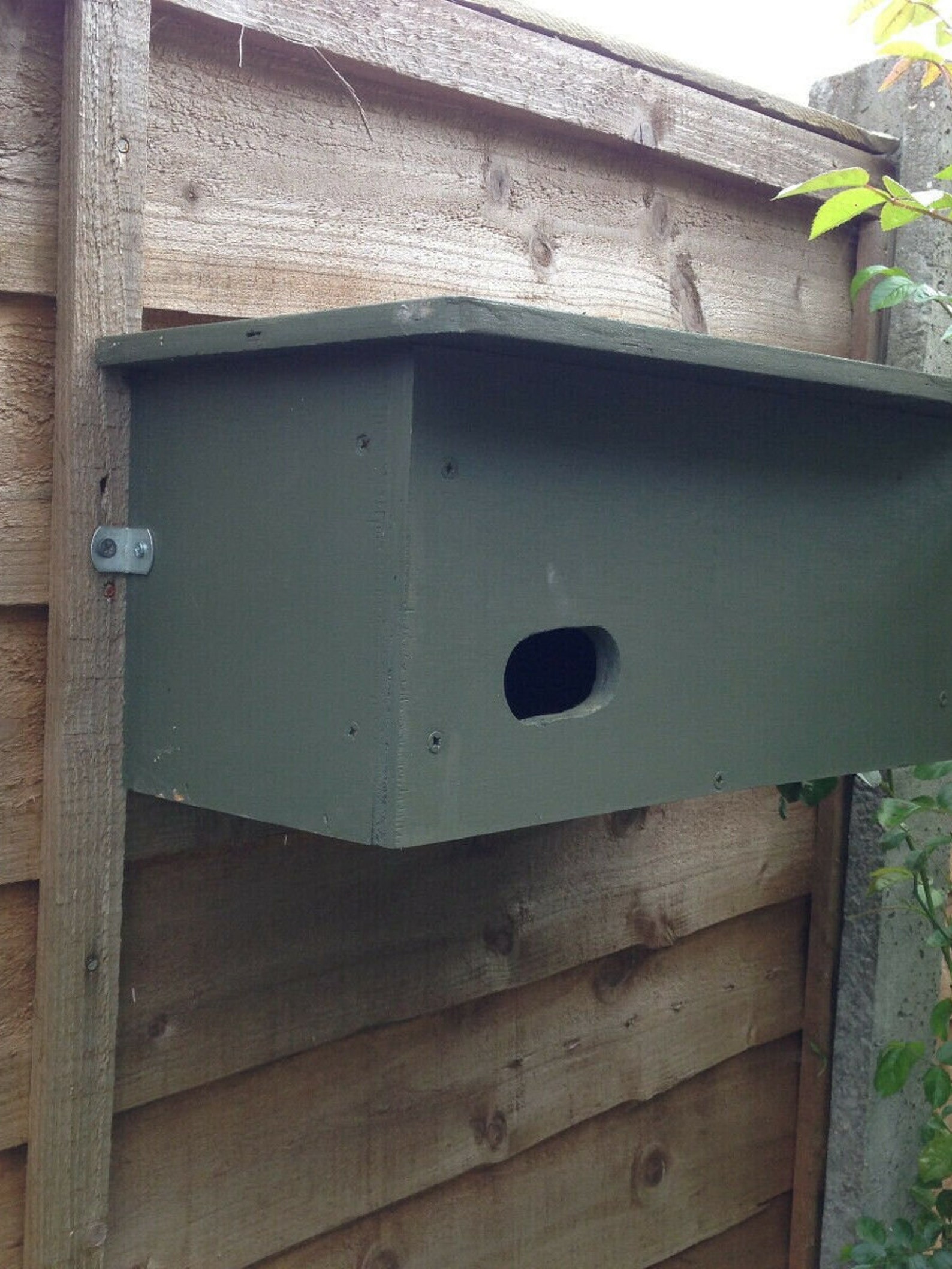 Swift Nesting Box - Etsy