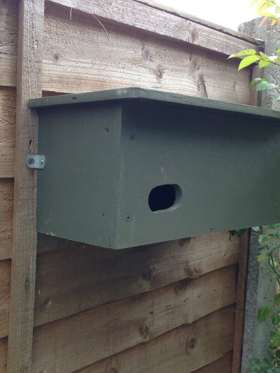 Swift Nesting Box - Etsy